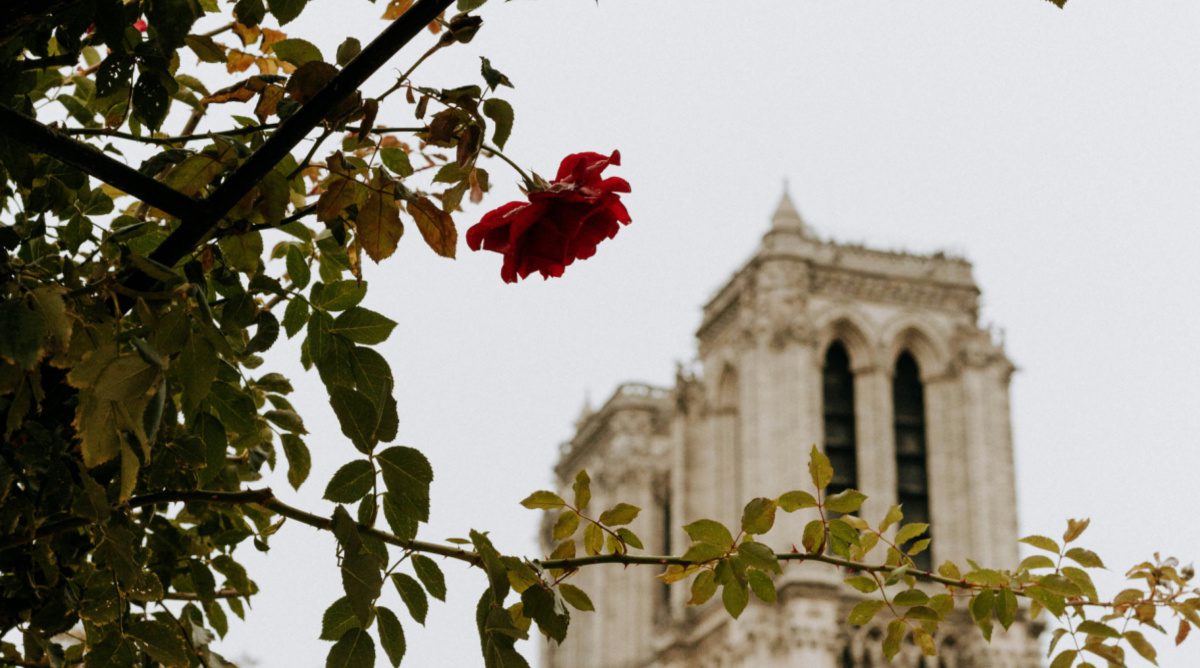 Blog - SpiritualDirection.com